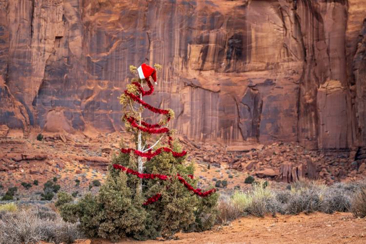 Celebrate Christmas and Other Winter Holidays in the Desert